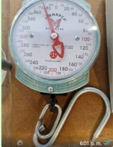 monarca reloj - Balanzas y automatizacion